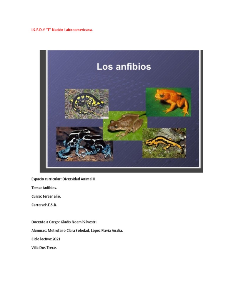 Anfibios: Características y Clasificación | PDF | Artes del Lenguaje y ...
