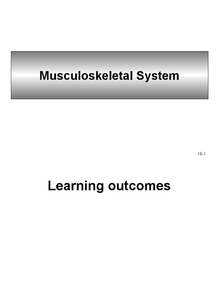 Musculoskeletal System | PDF | Bone | Muscle Contraction