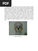 Anatomi Maksila & Mandibula | PDF