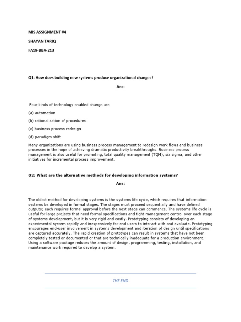 Mis Assignment | PDF