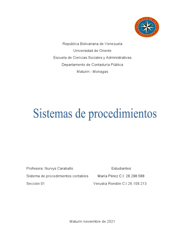 Informe de Sistemas y Procedimientos | PDF | Toma de decisiones | Sistema de informacion