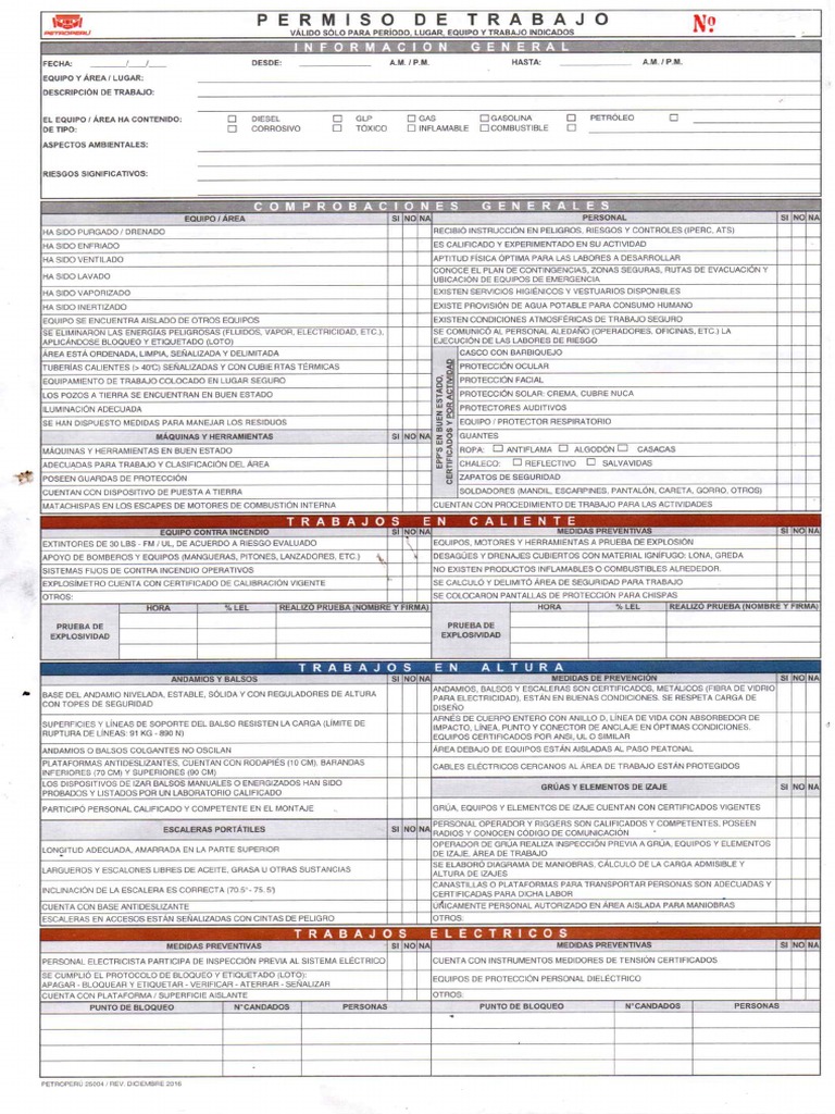 PT Formato Petroperu | PDF