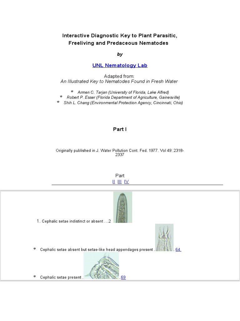 Interactive Diagnostic Key To Plant Parasitic, Freeliving and ...