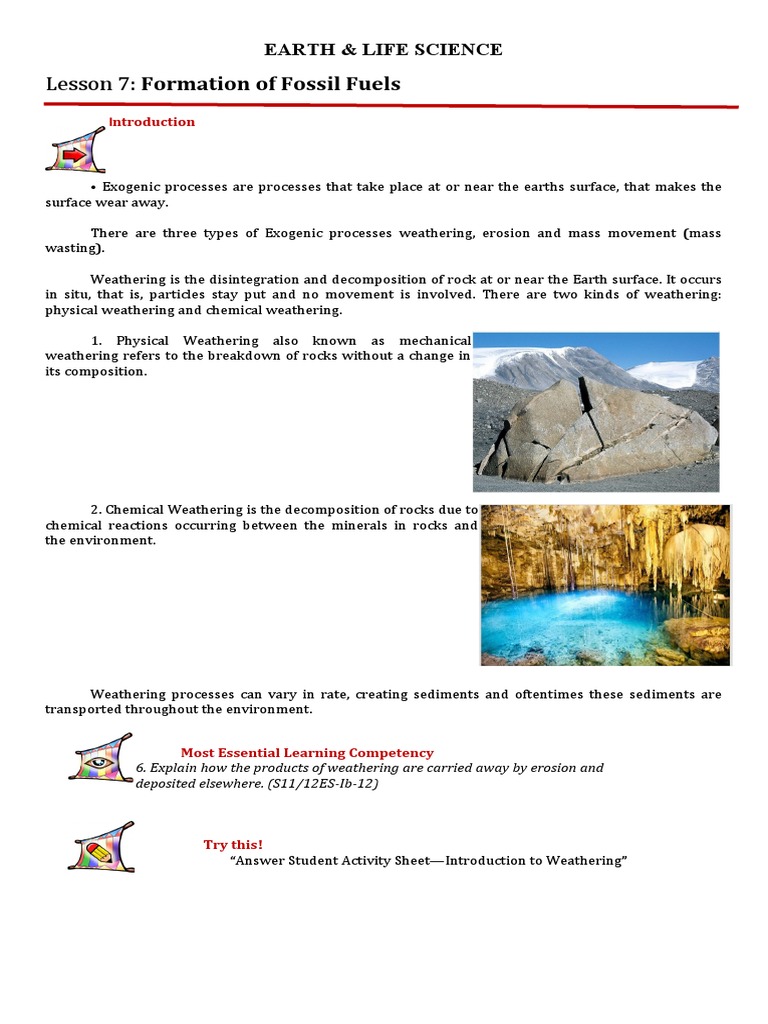 Lesson 7: Formation of Fossil Fuels: Earth & Life Science | PDF ...