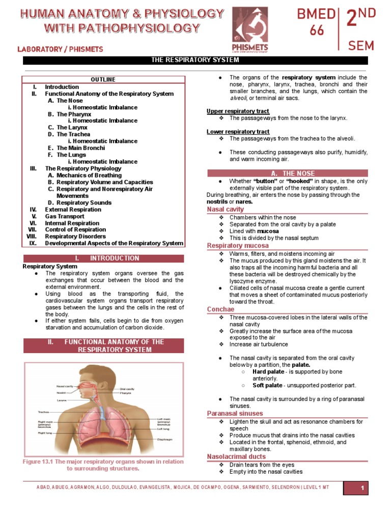 (BMED66) HUMAN ANATOMY & PHYSIOLOGY WITH PATHOPHYSIOLOGY Laboratory ...