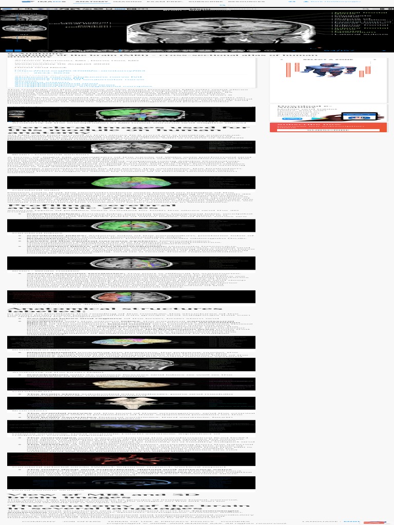 Brain Atlas of Human Anatomy With MRI | PDF | Brainstem | Cerebrum