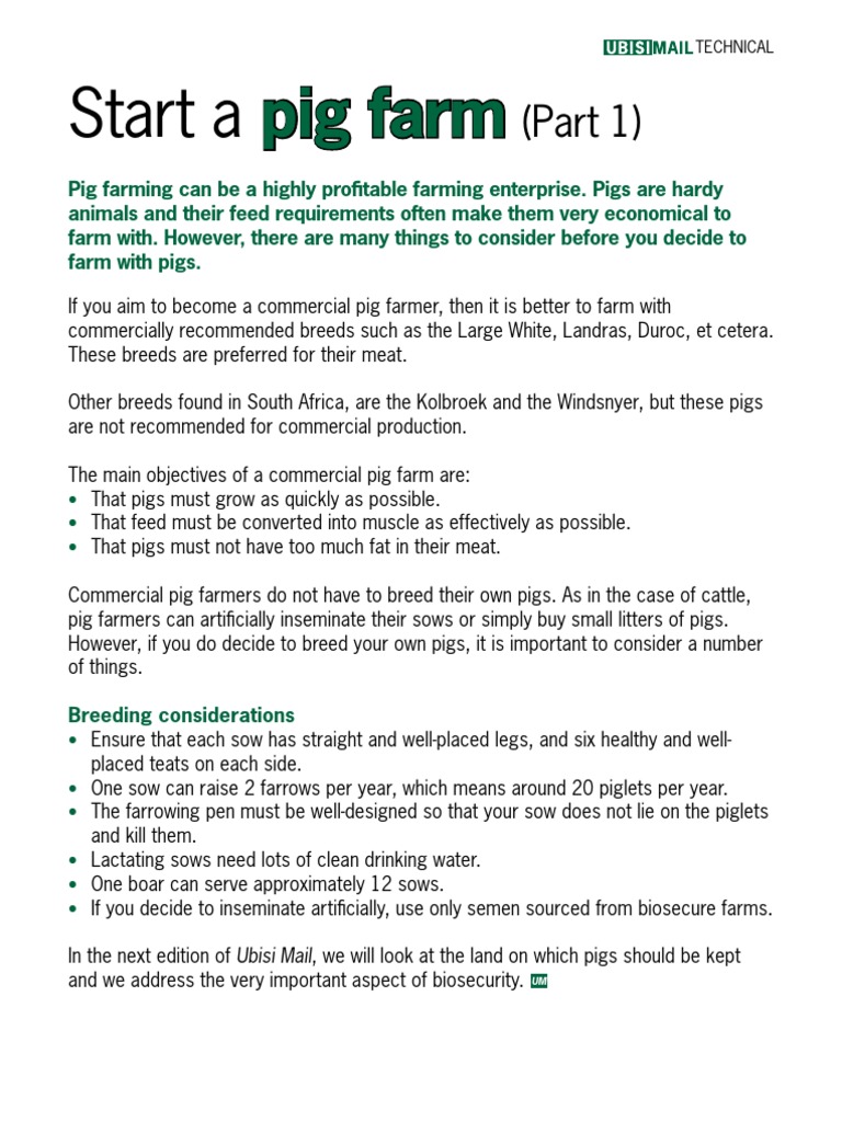 Start A Pig Farm | PDF | Domestic Pig | Pig