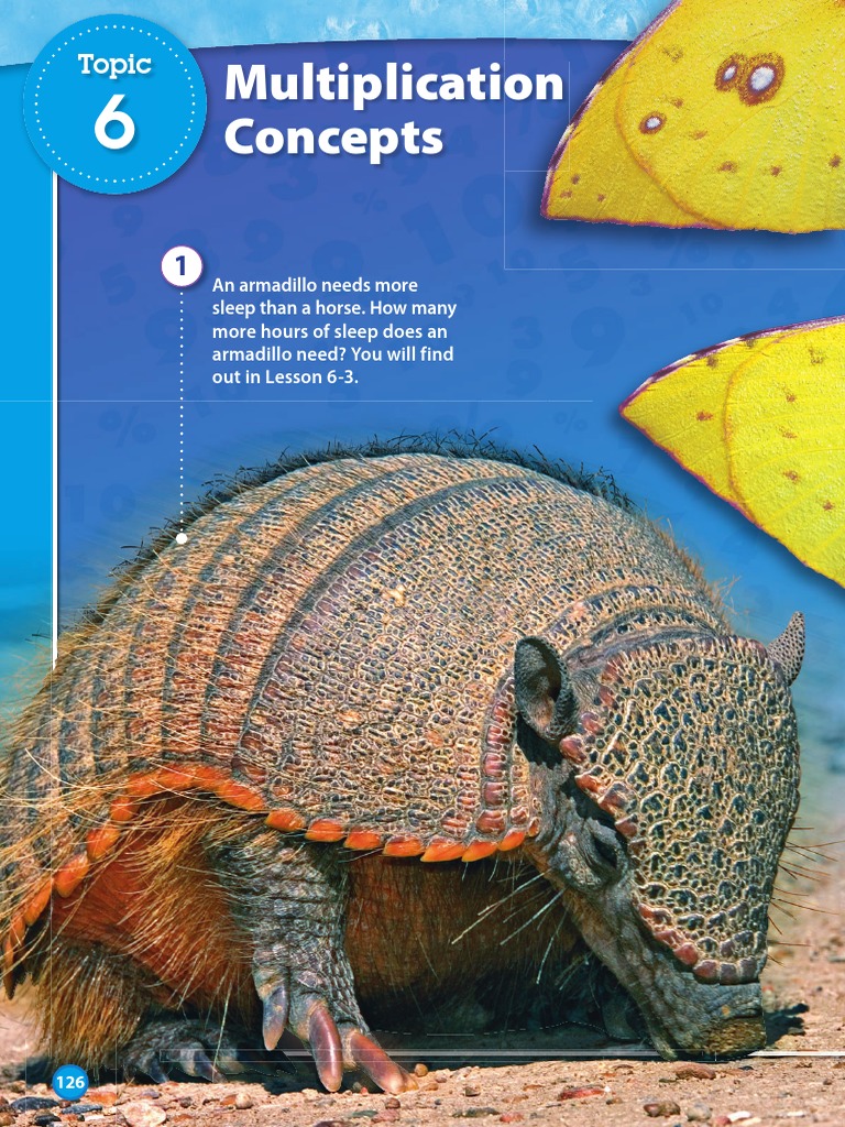 Envision Math 3th GR Topic 6 | PDF | Multiplication | Mathematics