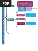 Programa Raptor y Su Función | PDF | Programa de computadora | Programación