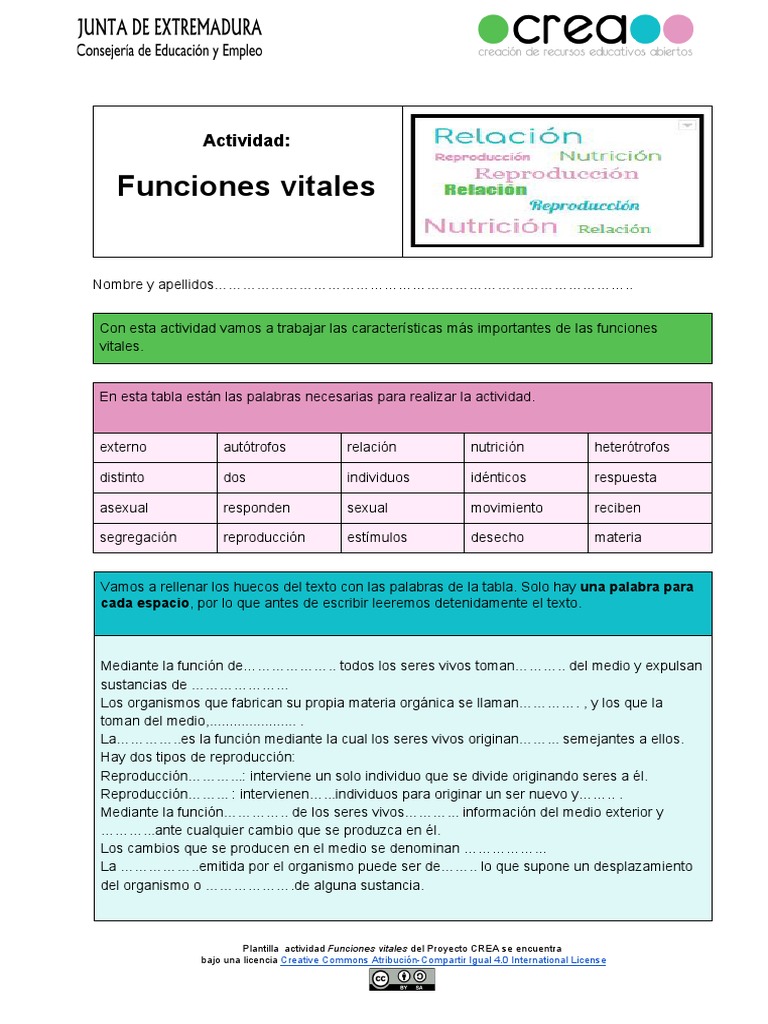 Actividad Funciones Vitales Pdf