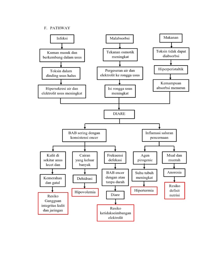 Pathways Diare SUKMA | PDF