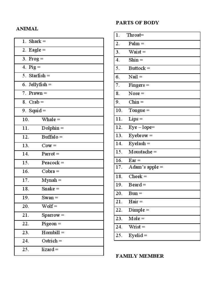 Vocabulary List: Animals, Body, Family, Verbs, Transport, Numbers | PDF