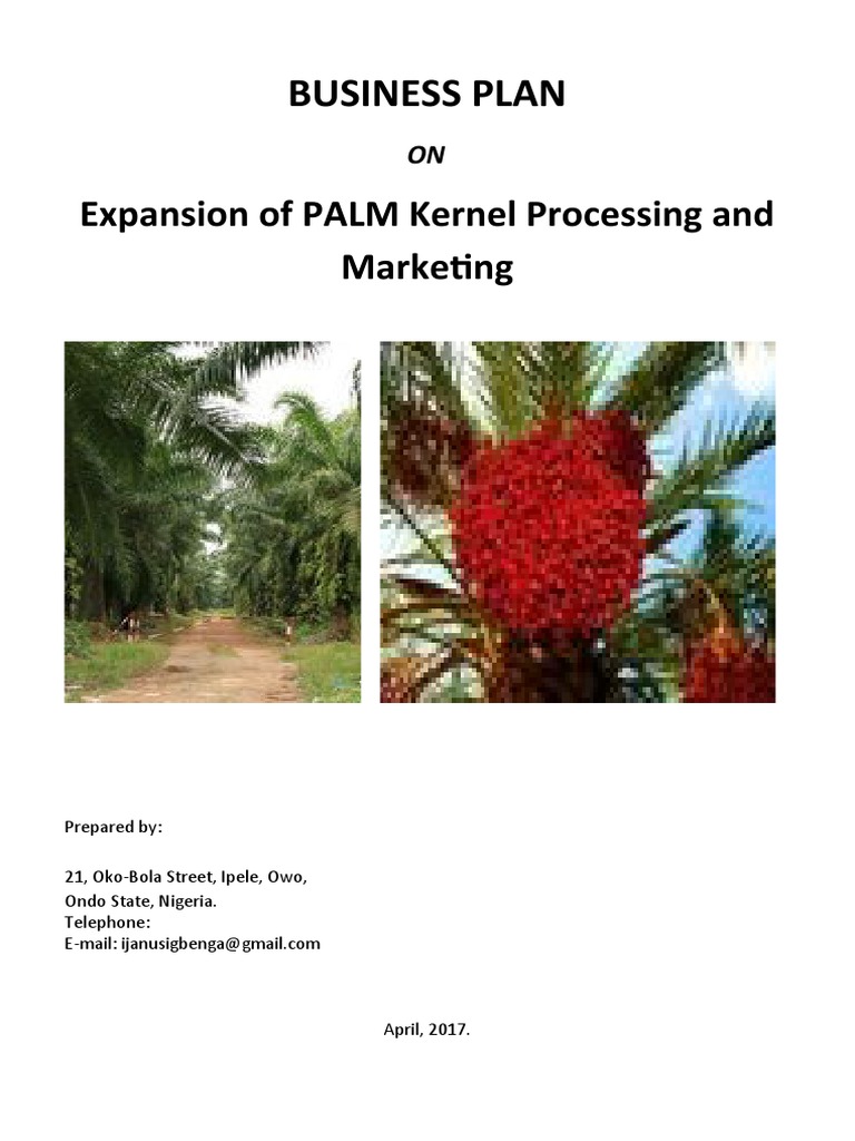 Palm Kernel Processing | Download Free PDF | Palm Oil | Employment