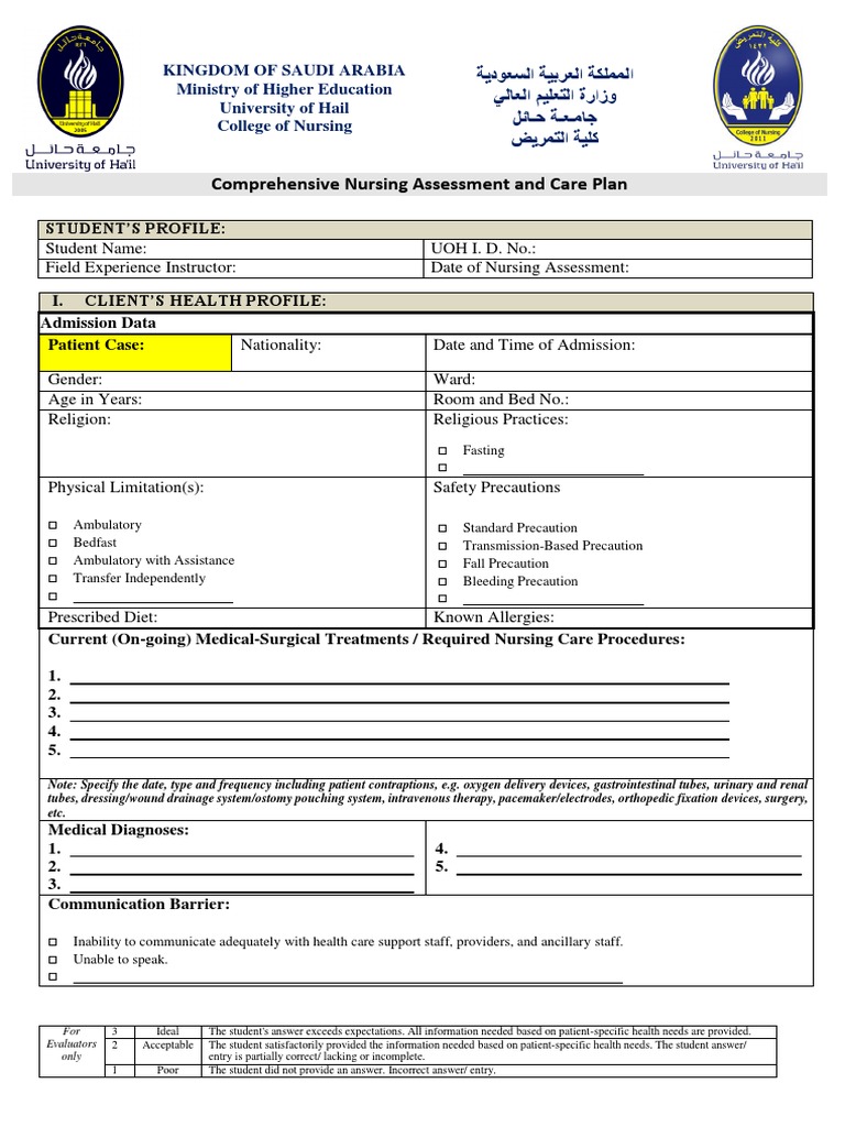 4 Comprehensive Nursing Assessment and Care Plan - 2021 | PDF | Blood ...