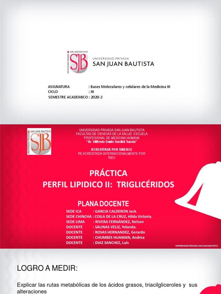 7 S 7 Susuusus | PDF | Glicerol | Triglicéridos