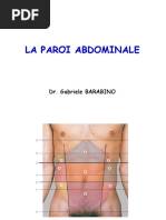 Anatomie de La Paroi Abdominale | PDF | Péritoine | Abdomen