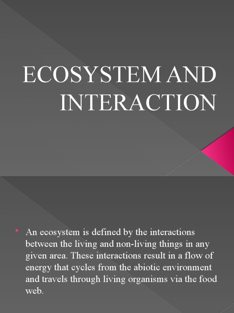 Ecosystem and Interaction | PDF | Ecology | Food Web