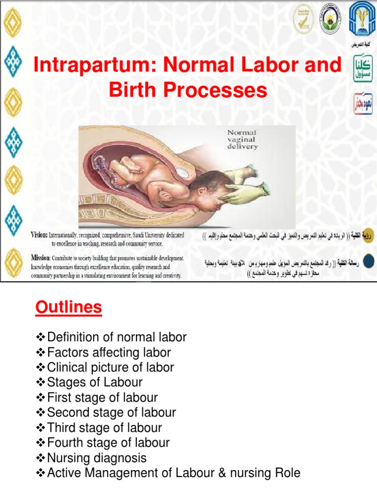 11+12 Lecture Normal Labor & Birth Processes | PDF | Childbirth | Pelvis