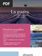Características del Pez Coporo en Venezuela | PDF | Pescado | Zoología