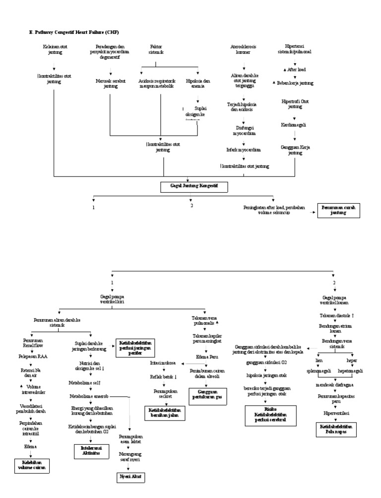 Pathway CHF KMB Sindy | PDF