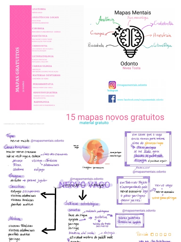 Mapas Mentais Odonto Gratuitos 2r | PDF | Odontologia | Cabeça e ...