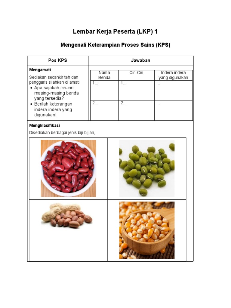 Keterampilan Proses Sains: Lembar Kerja | PDF