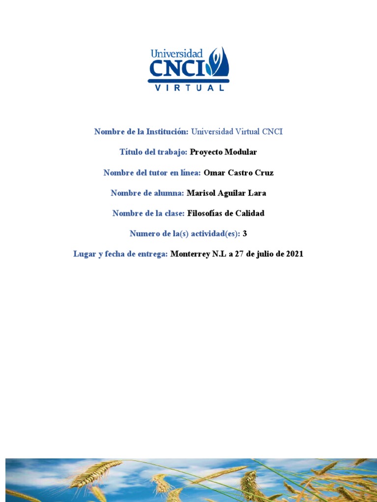 Proyecto Modular de FILOSOFIA DE CALIDAD | PDF | Diseño