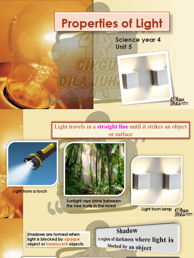 Science Year 4, Unit 5, Properties of Light | PDF | Reflection (Physics ...