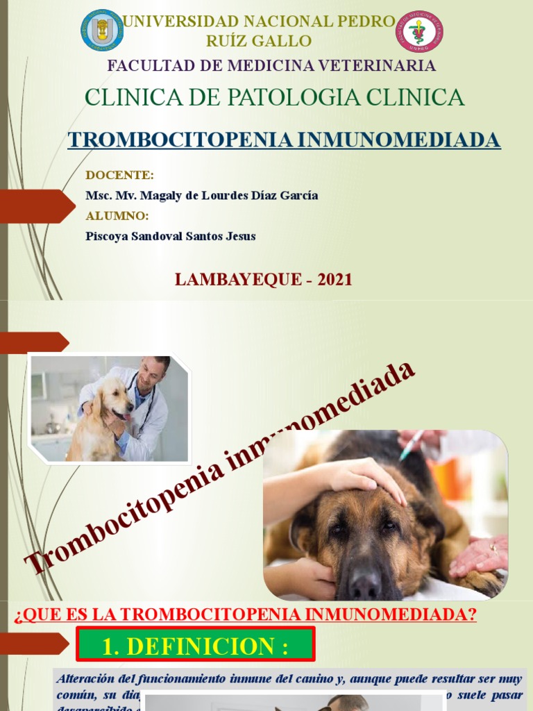 Trombocitopenia Inmunomediada | PDF | Sistema inmune | Plaqueta