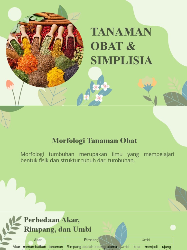Morfologi Tanaman Dan Simplisia | PDF