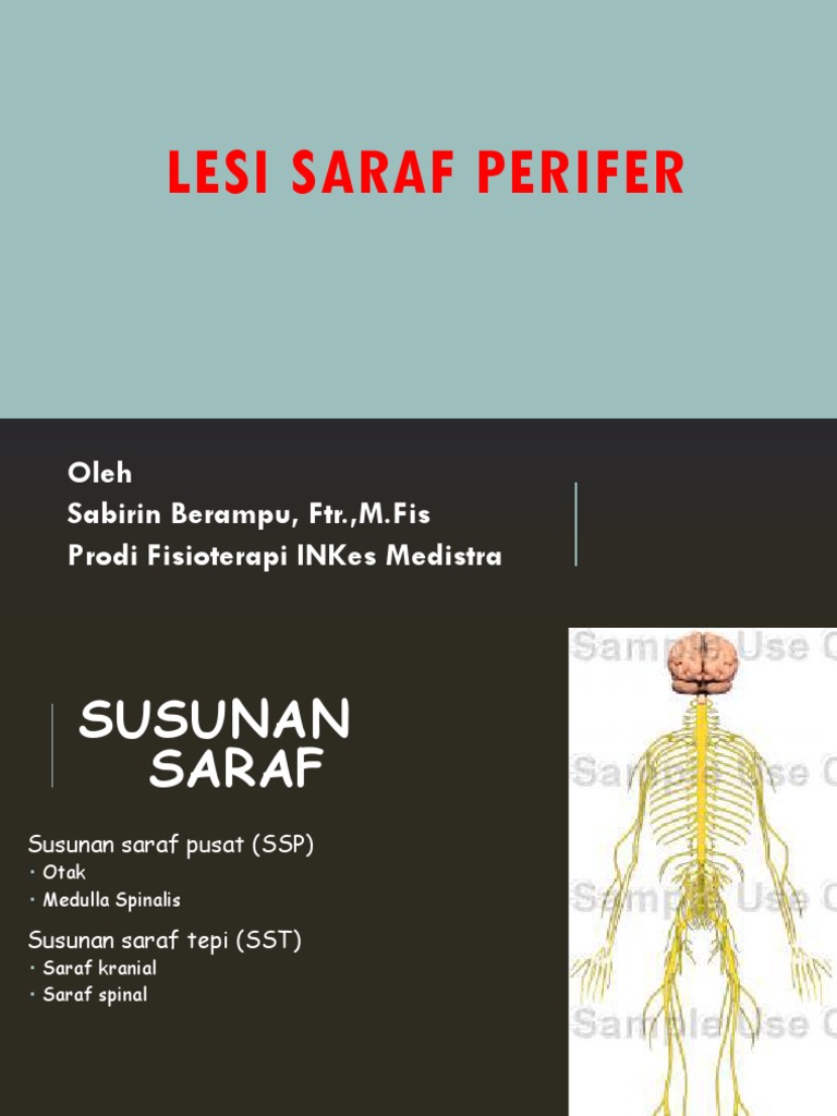 Syaraf Tepi | PDF