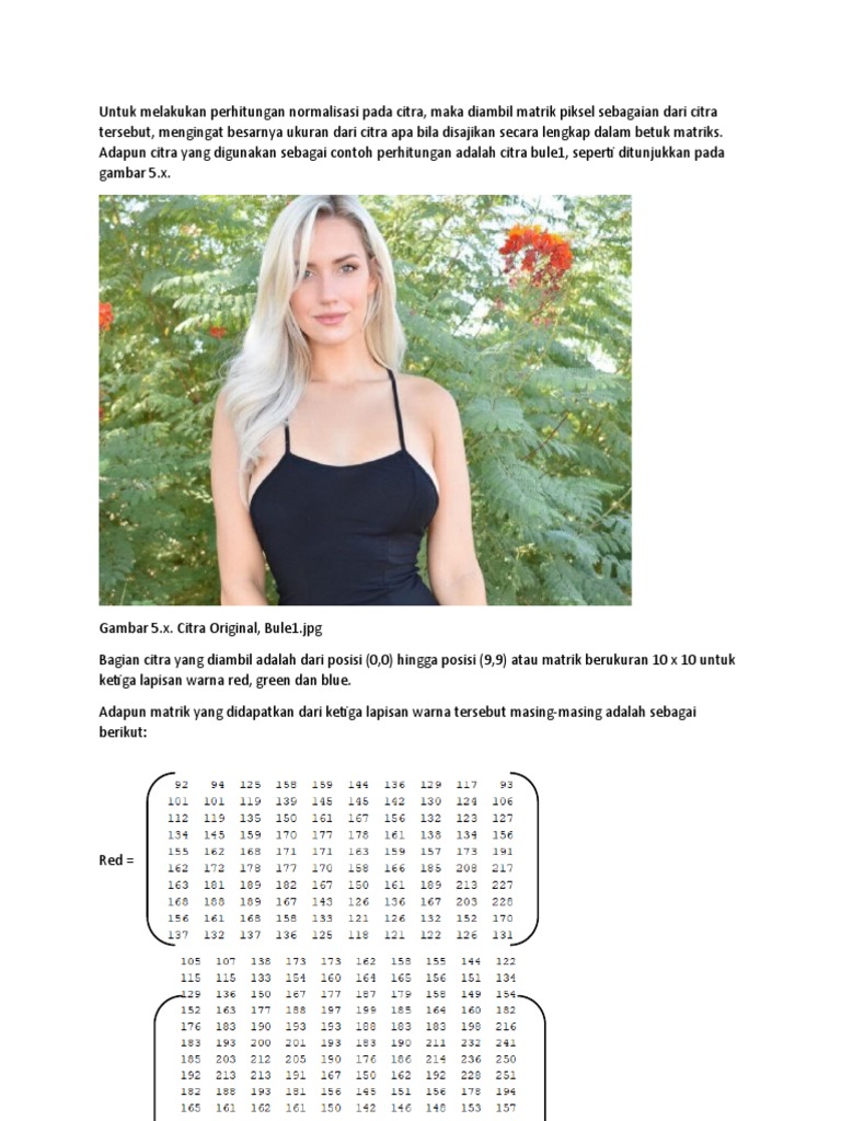 Data Matriks Citra Asli, Resize, Normalisasi, Cropping Dan Deteksi IRgBy | PDF | Metode & Bahan ...