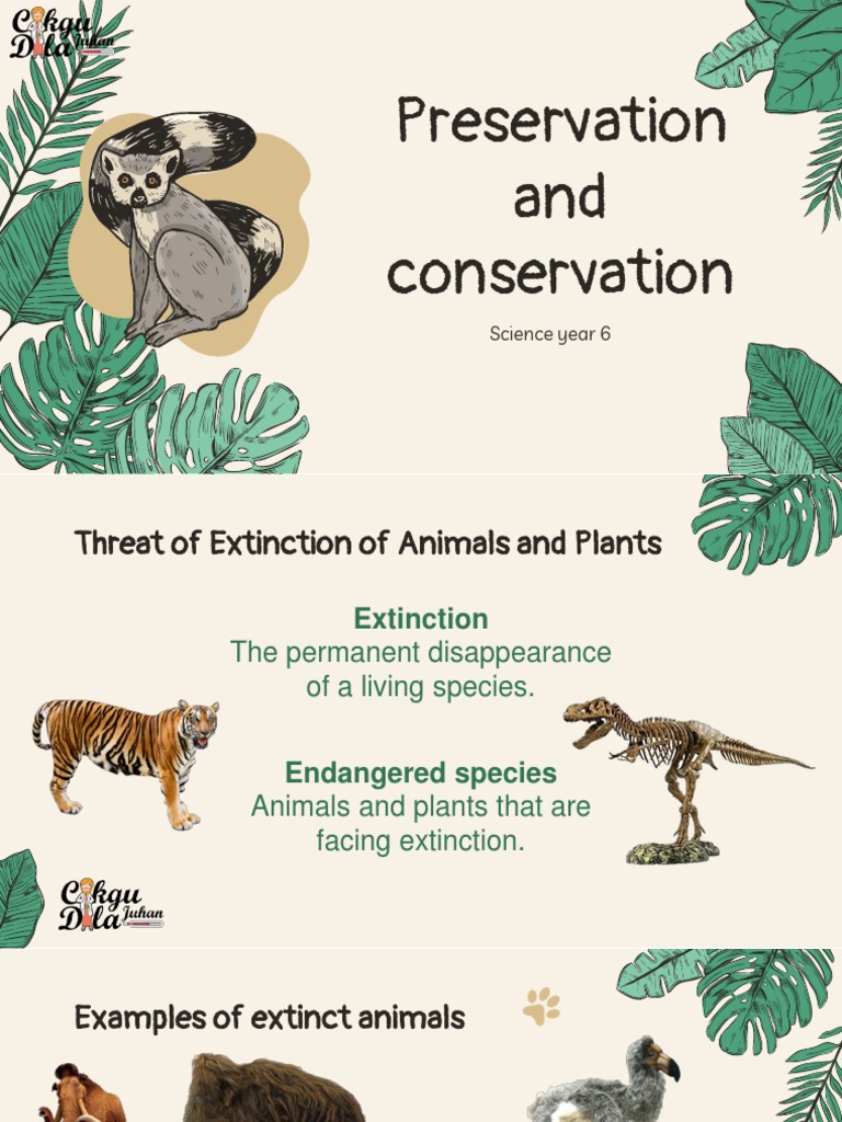 Preservation and Conservation Part 1 | PDF | Extinction | Endangered ...