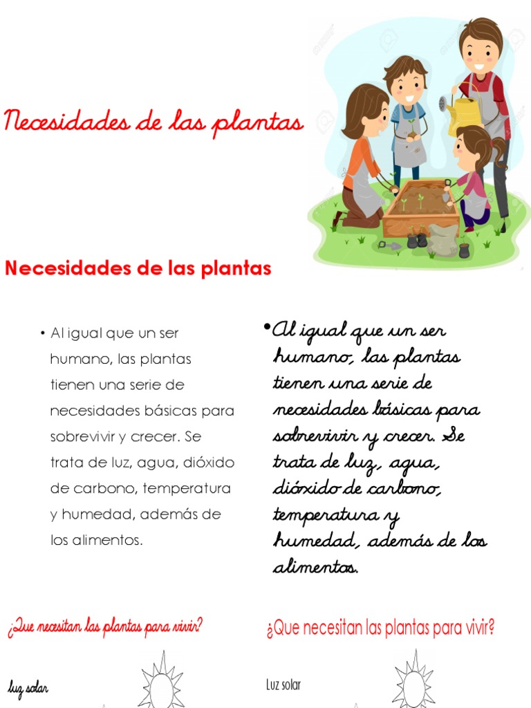Necesidades de Las Plantas | PDF
