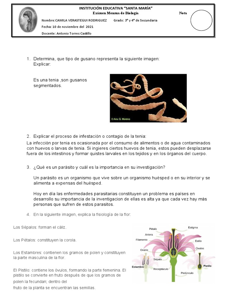 Examen November. Biolog .3 y 4 | PDF | Biología | Especialidades Medicas