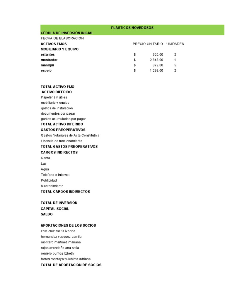 Cédula de Inversión Inicial | PDF | Equipo de oficina | Trabajo de oficina