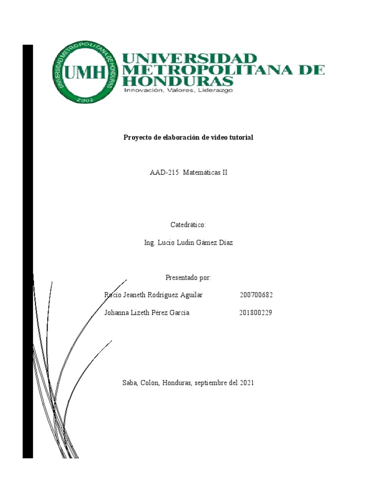 Informe Mate. Ii | PDF | Matemáticas | Aprendizaje
