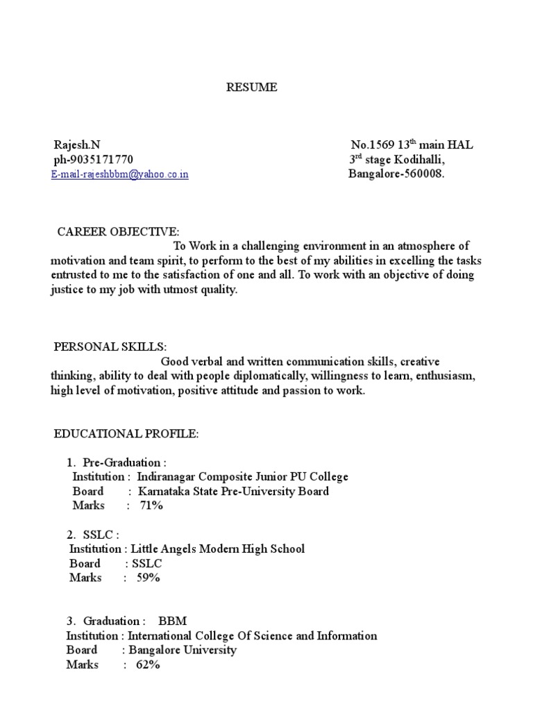 Rajesh N's Professional Resume | PDF