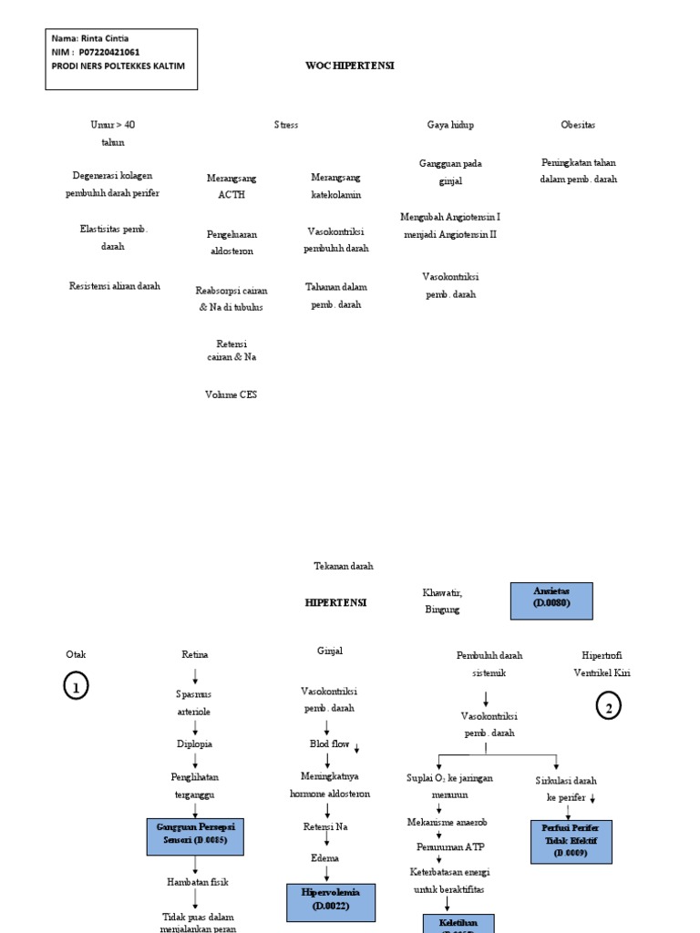 Woc Hipertensi Sdki | PDF