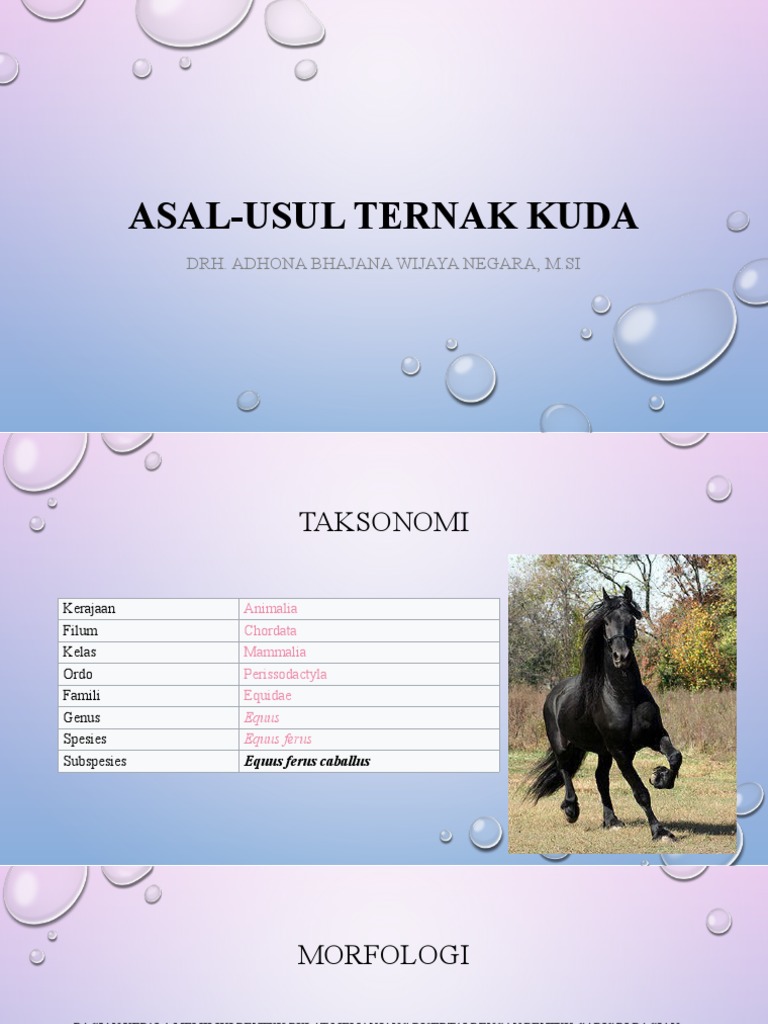 PERTEMUAN KE 10.. AsAl-usul TeRNAK KuDA | PDF