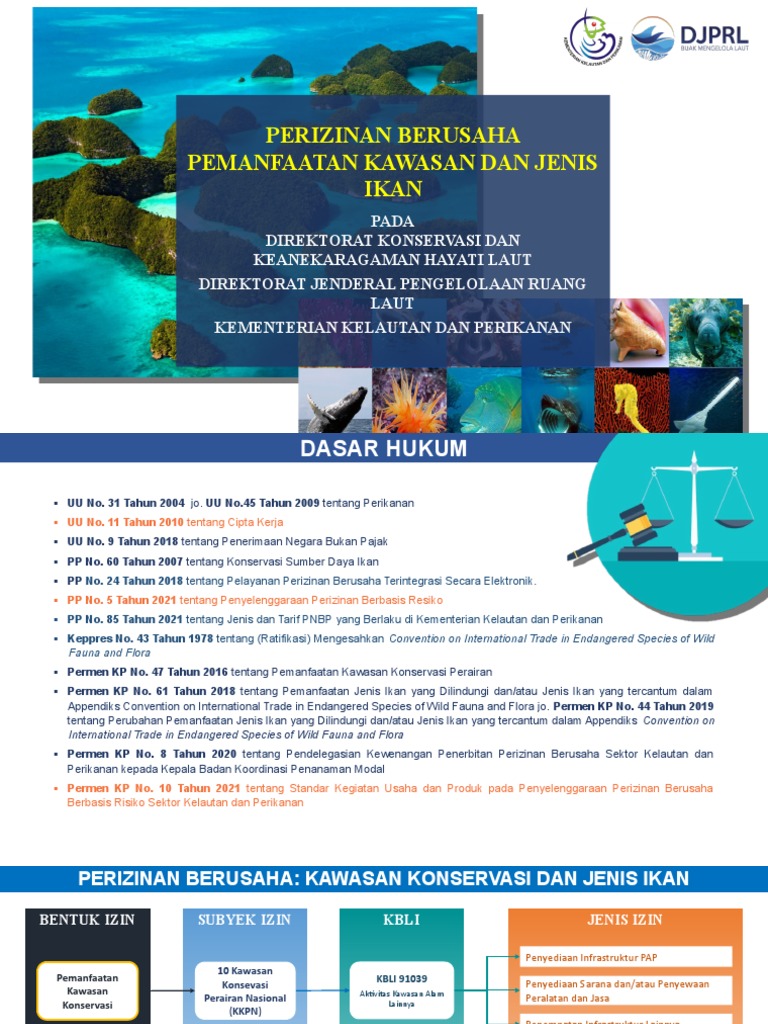 Bahan Paparan Dirjen - Sosialisasi Perizinan Berusaha PKJI | PDF