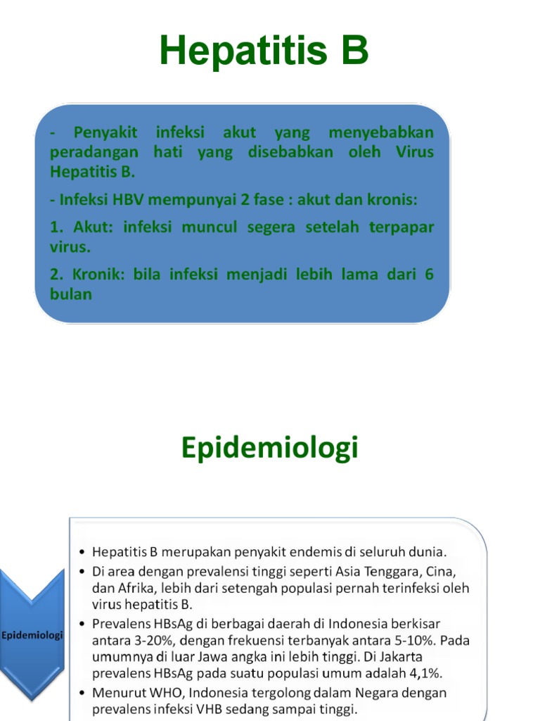 Hepatitis B | PDF