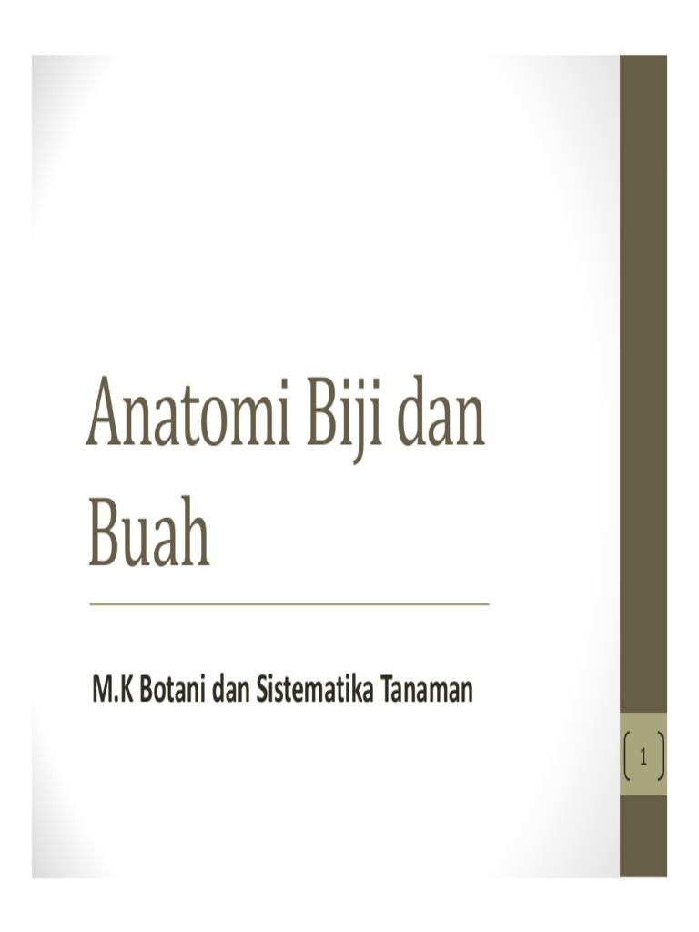 Anatomi Biji dan Buah: Struktur dan Jenis | PDF