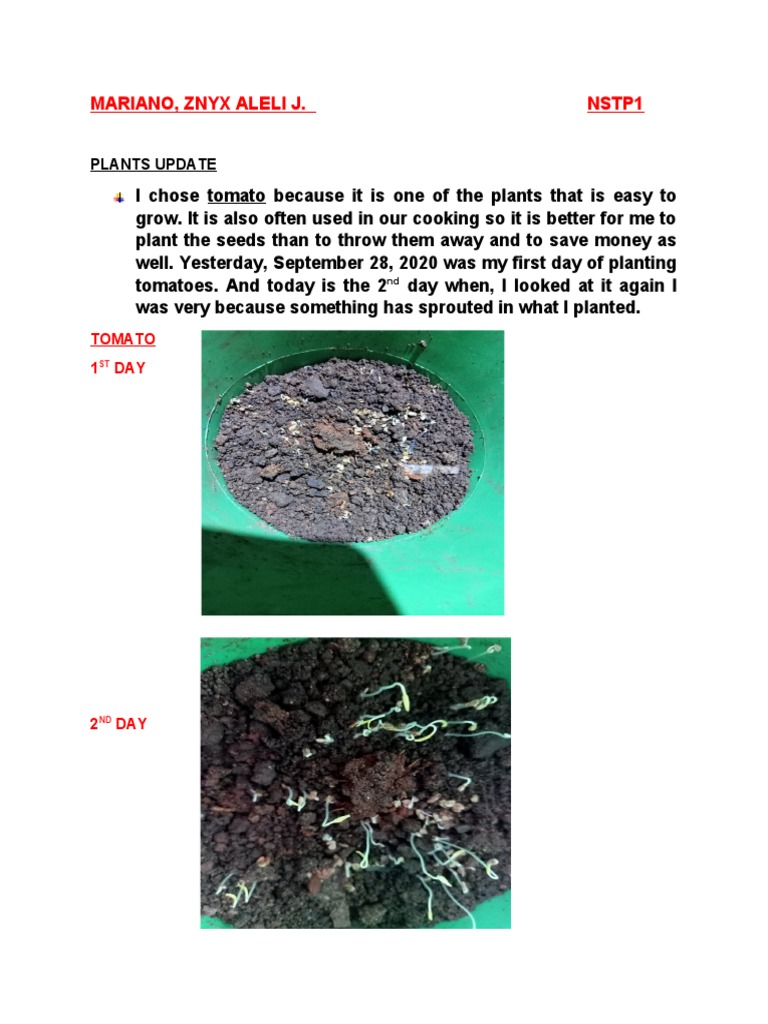 Mariano, Znyx (Narrative Report For Plants) | PDF