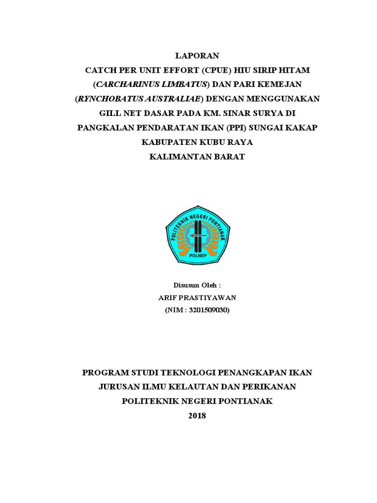 Cpue Hiu Sirip Hitam Dengan Menggunakan Gill Net Pada KM - Sinar Surya Di Sungai Kakap | PDF ...