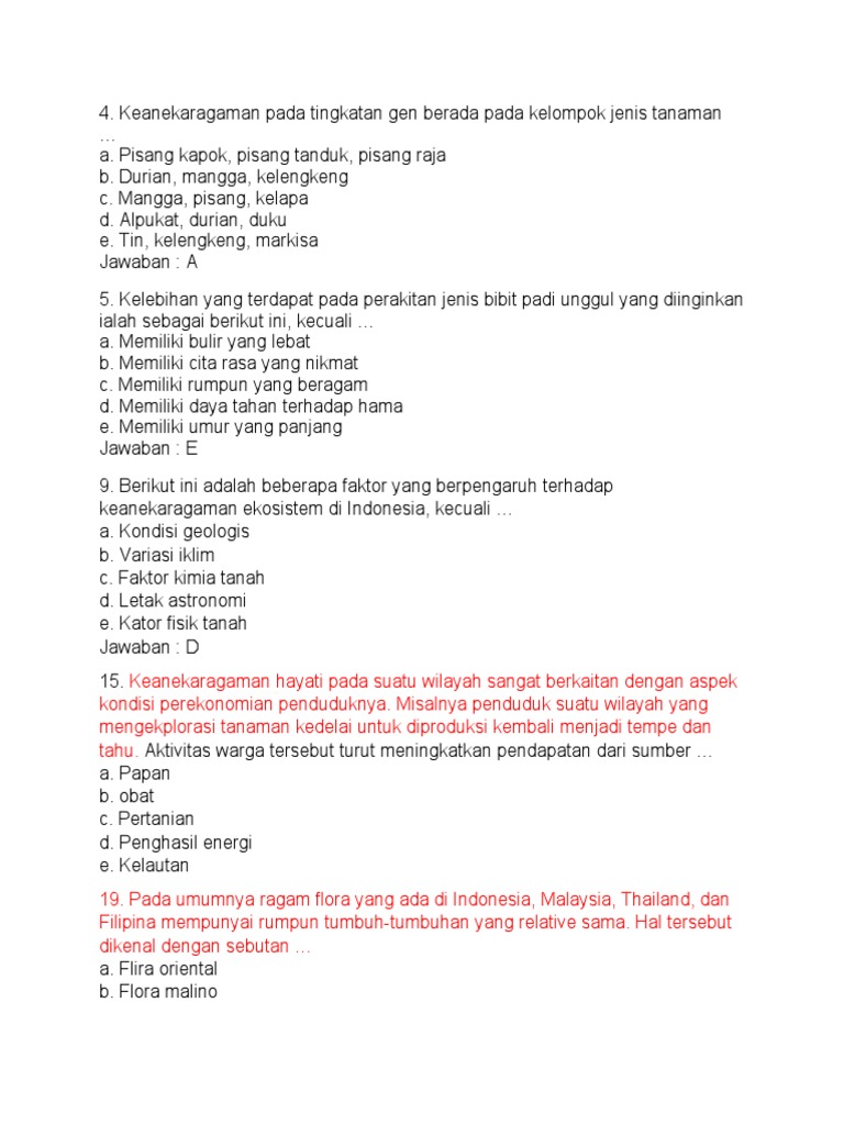 Contoh Soal Uts | PDF