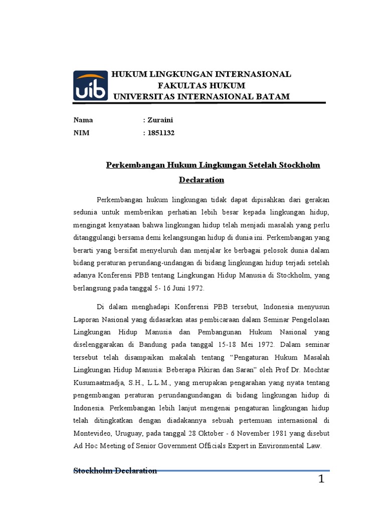 Essay Stockholm Declaration | PDF