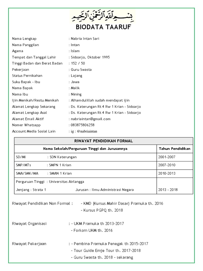 CV Ta'aruf Nabria | PDF