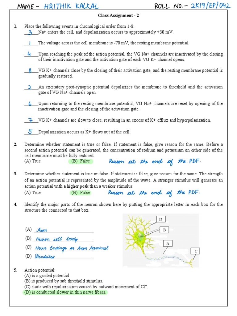 Biophysics Assignment2 2k19ep042 Hrithik Kalkal | PDF | Action ...