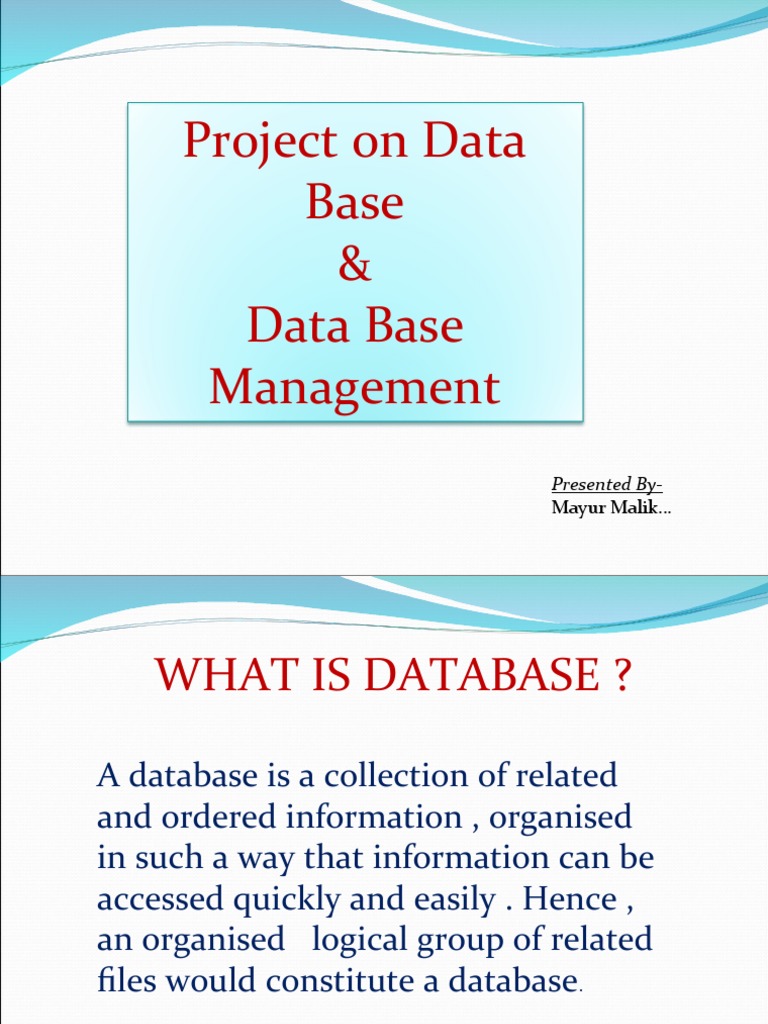 Database Management System Overview | PDF | Databases | Computer Hardware